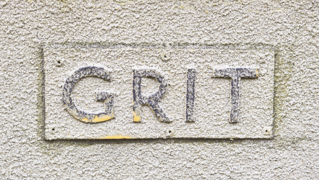 Do You Show Grit As A Leader? – Speaker and Executive Coach