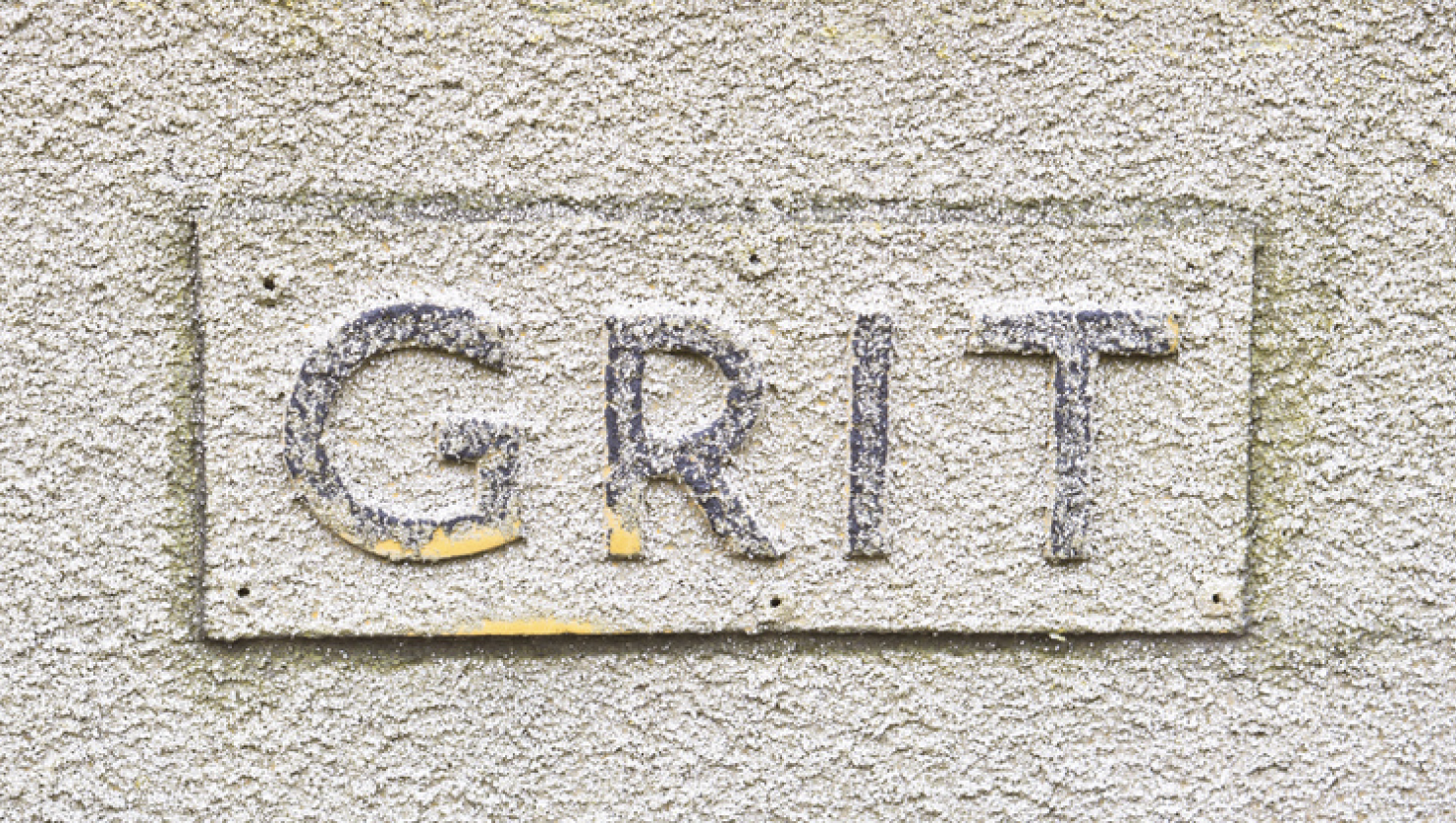Do You Show Grit As A Leader? – Speaker and Executive Coach