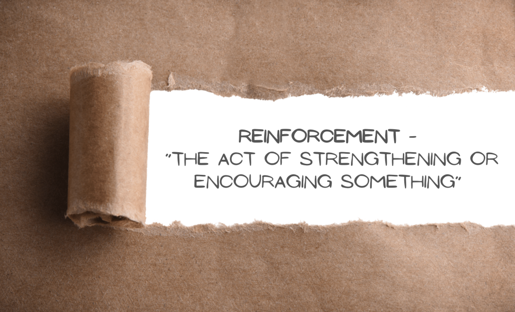 Reinforcement – Speaker and Executive Coach
